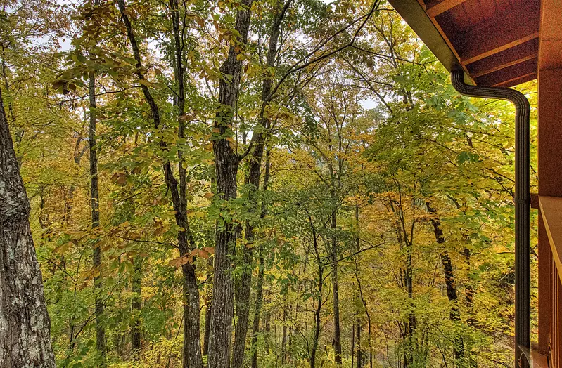 Teddy Bear Haven - Accommodations by Great Cabins in the Smokies